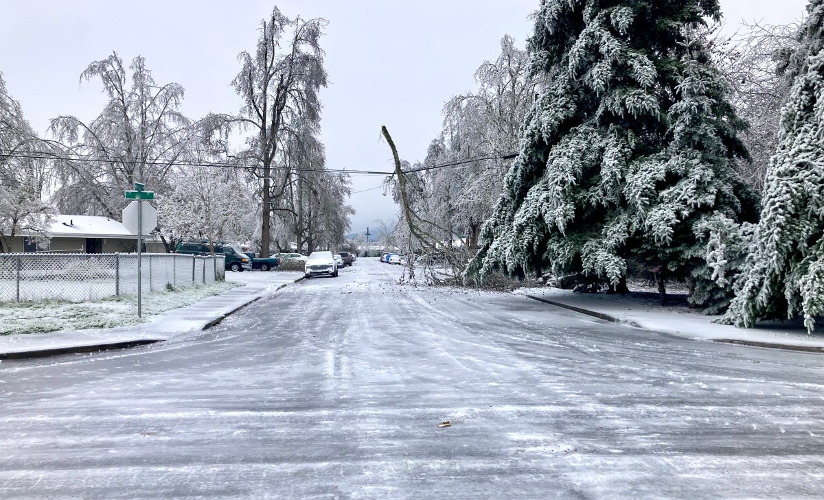 Surviving The PNW Ice Storm of 2024 – Feels Like Homestead